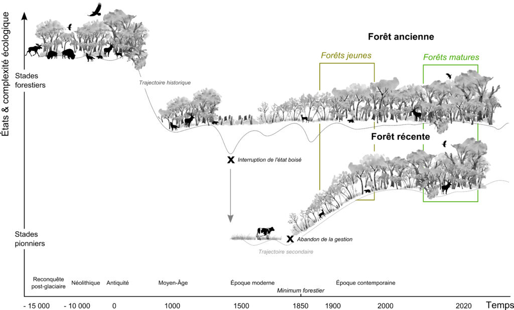 La libre évolution - Coordination Libre Evolution