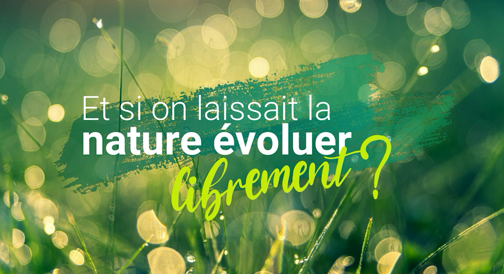 Animal Cross sort son reportage "Et si on laissait la nature évoluer librement ?" - Coordination ...