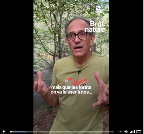 L'association Libre Forêt raconte à BRUT pourquoi racheter des forêts pour les mettre en libre ...