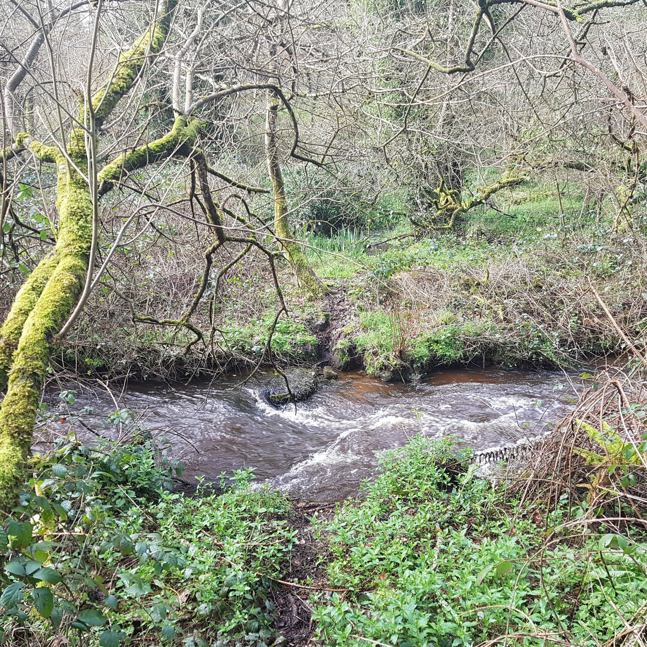 Accueil - Coordination Libre Evolution